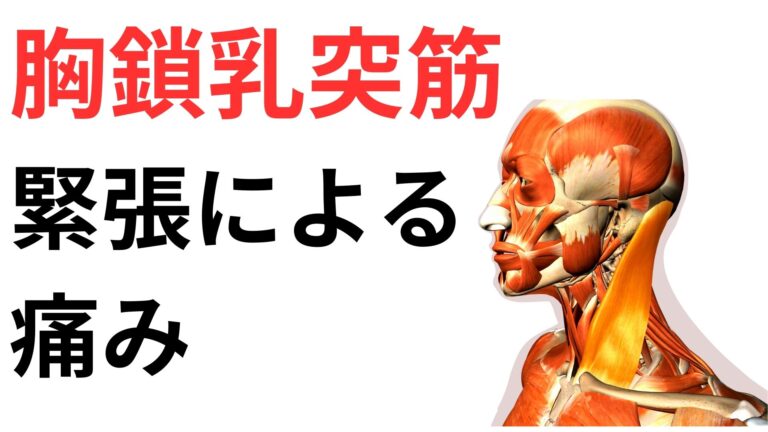 頚椎ヘルニアの楽な姿勢とは？寝方や座り方、やってはいけない姿勢を解説！ 熊本のひがし鍼灸整体院